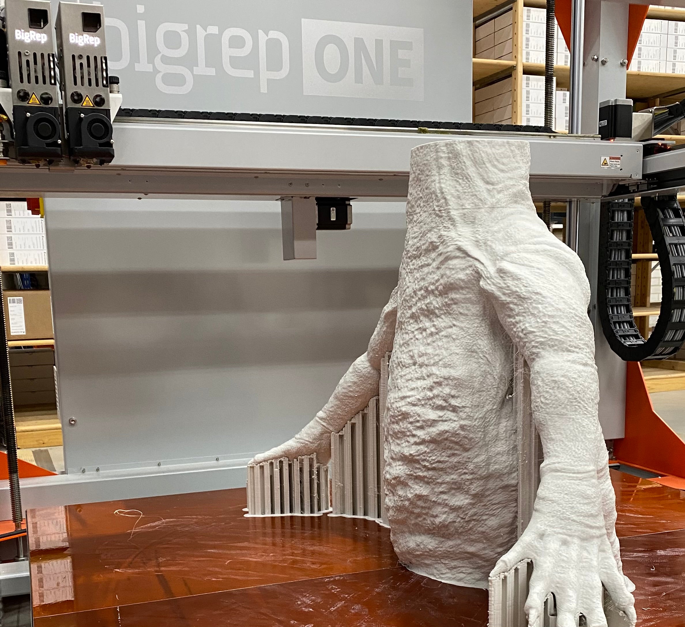 200 million years old 3D printed sea reptile of 6 meter long!🦕